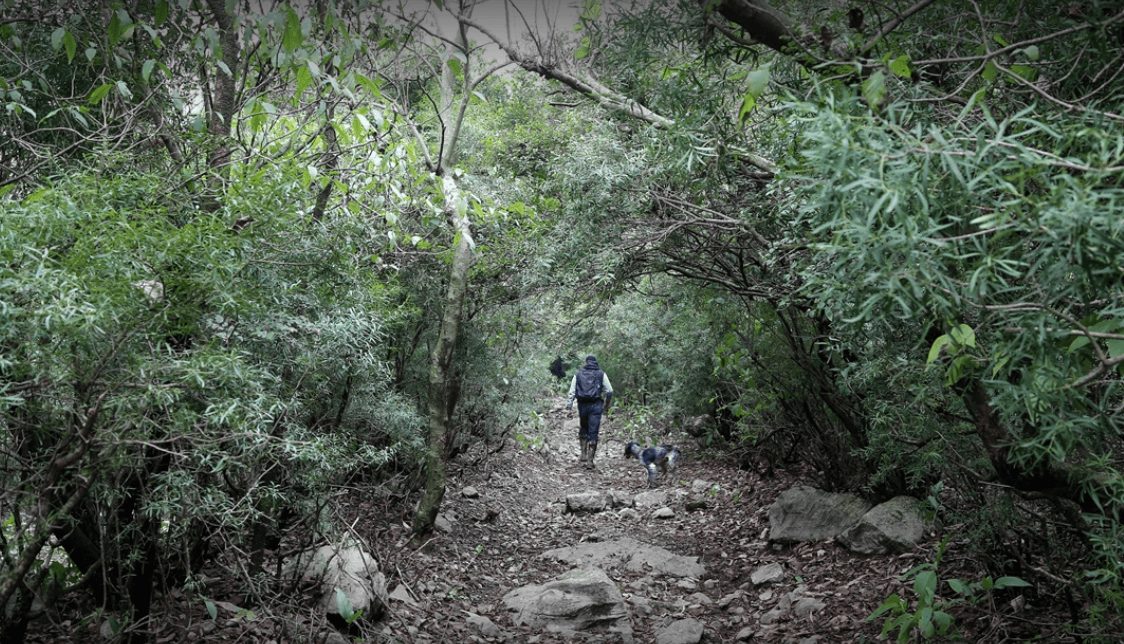 8 Hiking Trails in Islamabad - Location and Nearby Spots