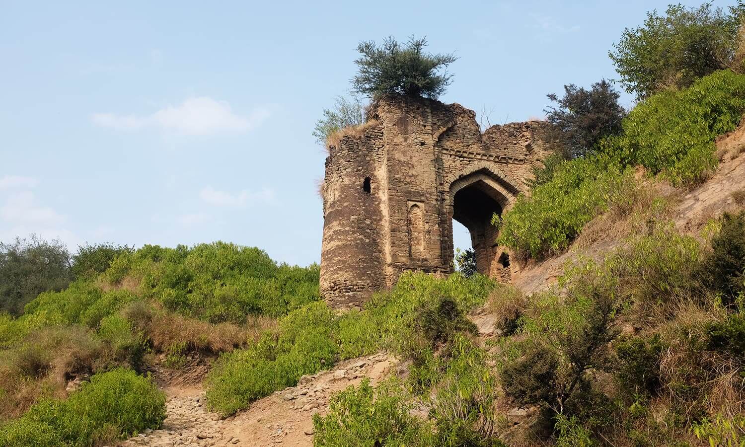 10 Famous Historical Forts in Pakistan - BlogPakistan