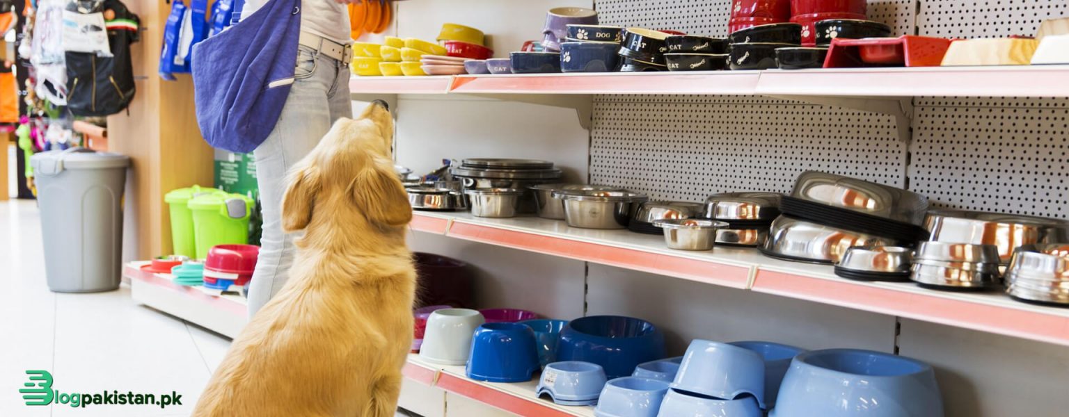 10 Pet Stores in Islamabad - Products and Contact Details
