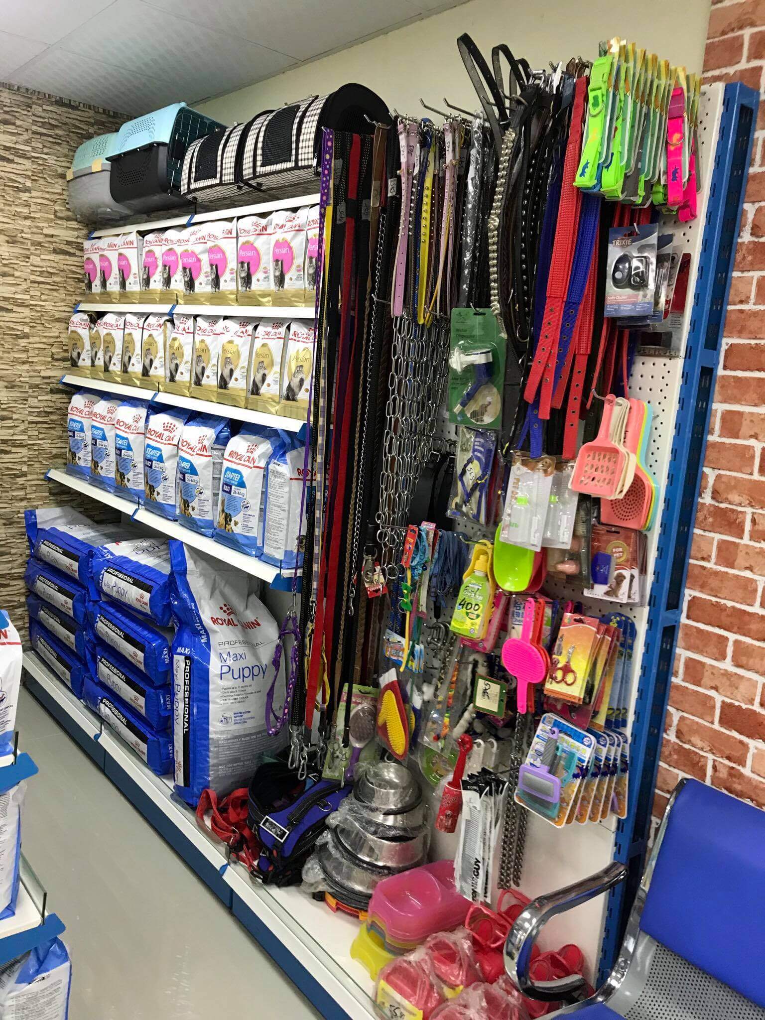 10 Pet Stores in Islamabad - Products and Contact Details