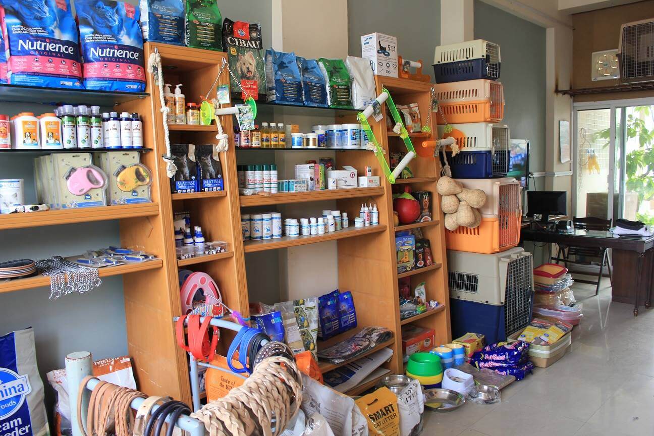 10 Best Pet Stores in Karachi For Your Pets’ Every Need