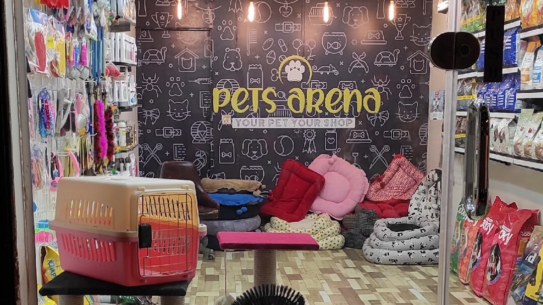 10 Best Pet Stores in Karachi For Your Pets’ Every Need