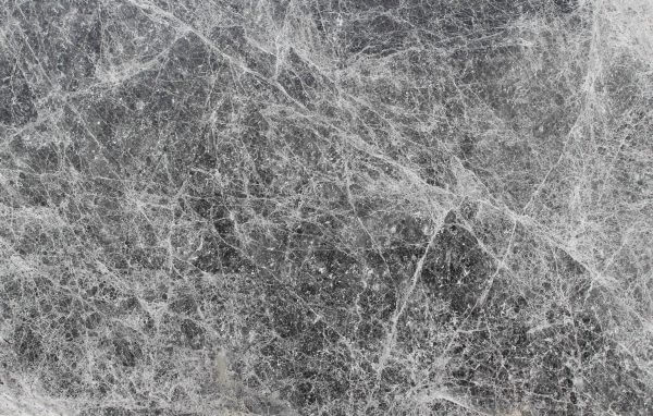 List of 10 Different Types of Marble in Pakistan