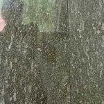 List of 10 Different Types of Marble in Pakistan