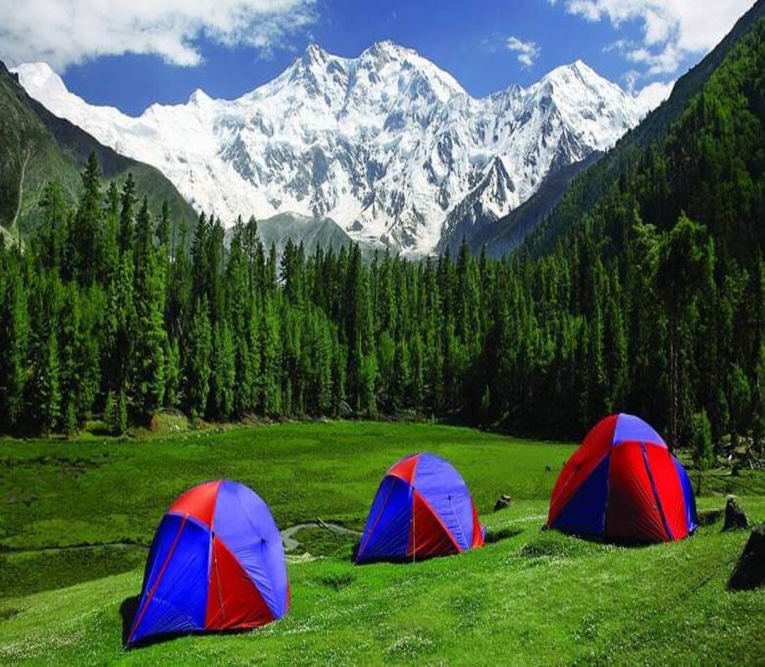 Fairy Meadows Travel Guide 2023 - Routes, Nearby Places & More