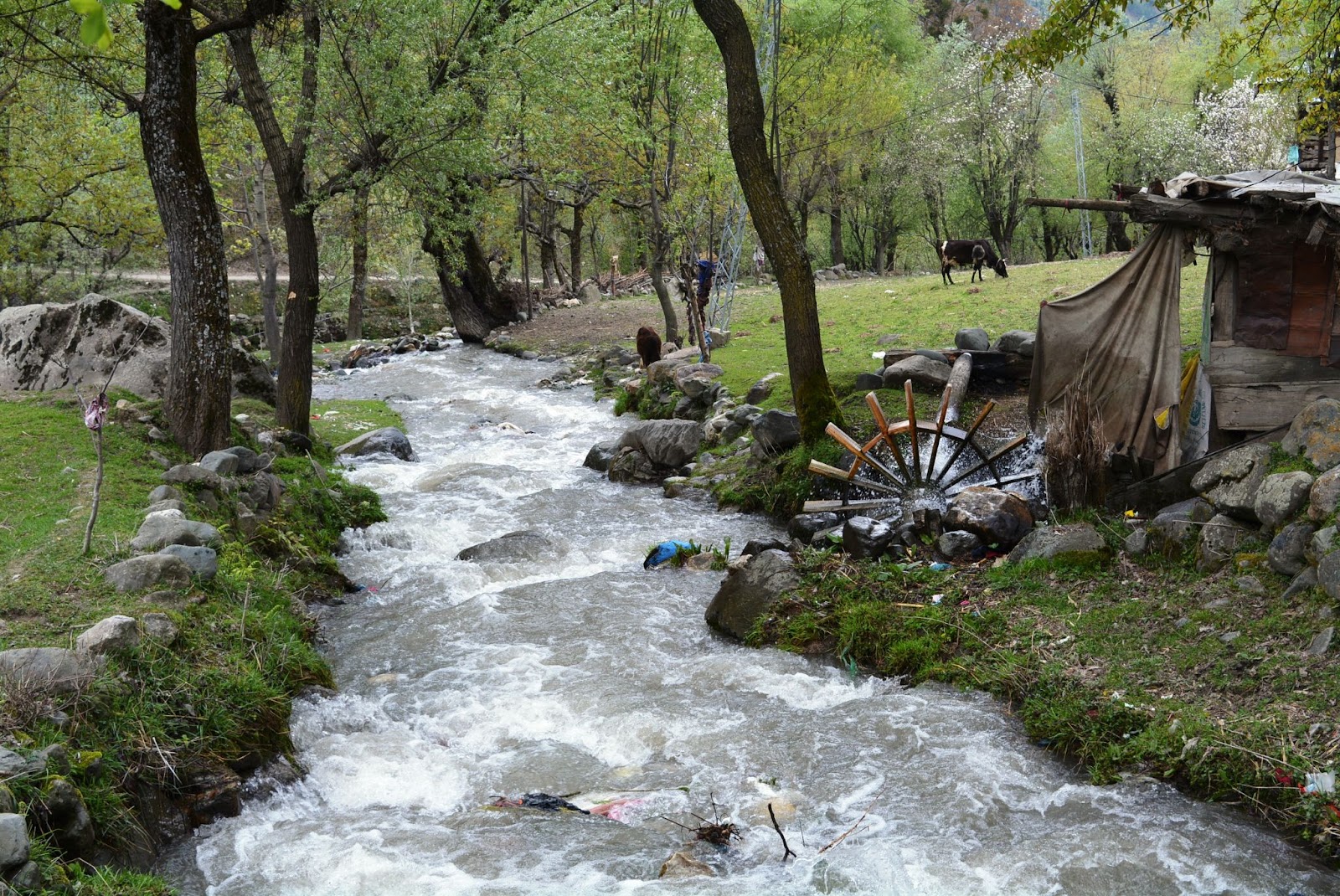 Top 12 Best Places to Visit In Kashmir - Detailed Information